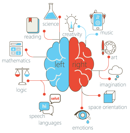 left-brain-right-brain | St Cloud Neurobehavioral Associates, P.A.